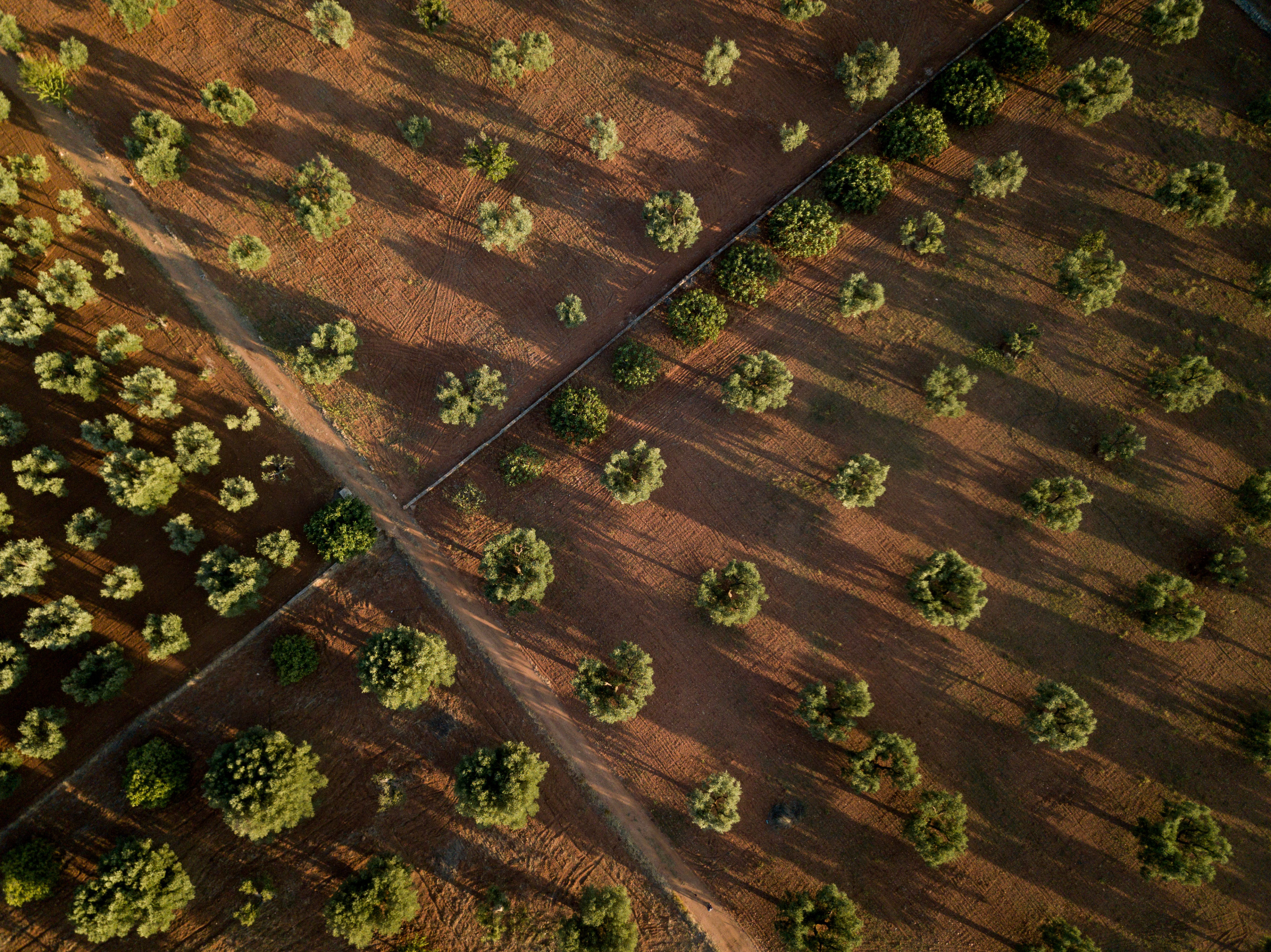 Italie du sud: 10 jours de road trip de Rome à Ostuni | Par-ci Par-là